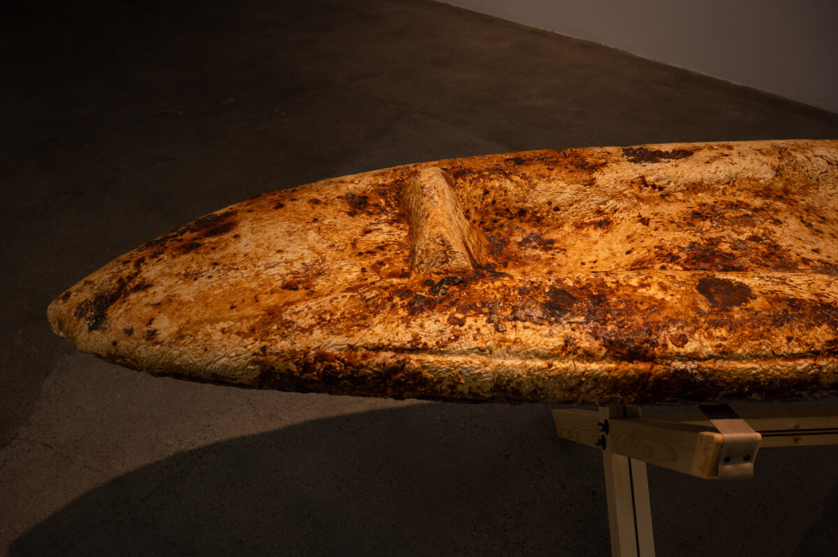 Sam Shoemaker: Mushroom Boat Closing Reception | Fulcrum Arts